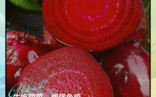 甜菜的别名是什么_甜菜根和糖萝卜的区别