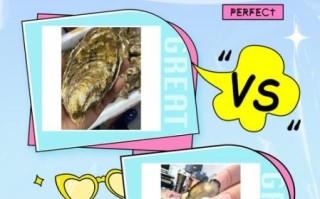 海蛎子和生蚝的区别_哪个营养价值更高