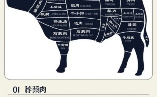 雪花牛肉是什么肉_雪花牛肉怎么挑选