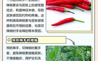 辣椒辣到手了最快消除_辣椒辣到手怎么办