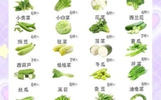 蔬菜有哪些种类_蔬菜有哪些营养价值