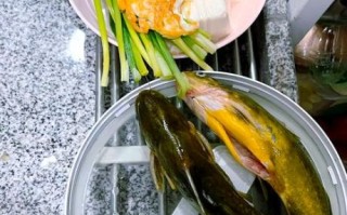 黄骨鱼汤怎么炖好喝_黄骨鱼汤的做法窍门