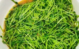 豌豆苗怎么炒好吃_豌豆苗的做法大全