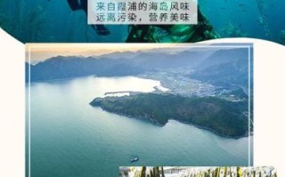 海带扣怎么做好吃_海带扣的做法大全