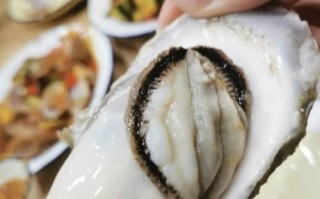 高压锅生蚝怎么开壳_高压锅生蚝蒸几分钟