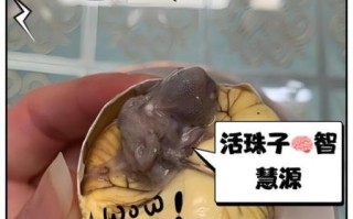 45岁女人养生每天必吃_如何吃出年轻态