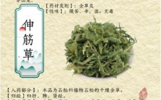 伸筋草的功效与作用_伸筋草怎么用效果最好