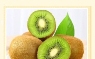 孕妇吃猕猴桃对胎儿有什么好处_孕妇吃猕猴桃的最佳时间
