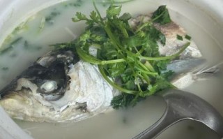 鱼头汤怎么做又浓又白还不腥_鱼头汤去腥技巧