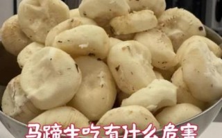 马蹄能生吃吗_生吃马蹄安全吗