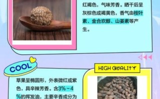 草寇别名有哪些_草寇和草豆蔻的区别