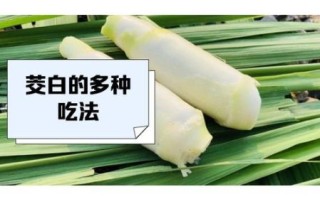 茭白是什么菜_茭白有什么营养价值