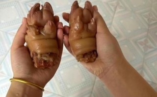 猪蹄手图片搞笑_猪蹄手表情包怎么制作