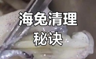 海兔怎么清洗_海兔做法大全
