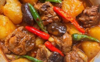 土豆炖鸡的家常做法_土豆炖鸡怎么做好吃又入味