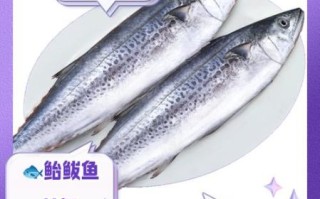 鲐鲅鱼怎么区分_鲐鲅鱼的营养价值