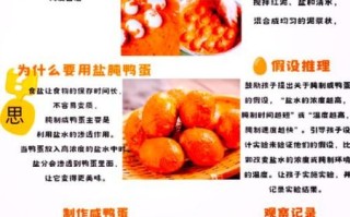 咸鸭蛋怎么腌制才流油_家庭版咸鸭蛋做法