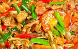 西红柿炒肉怎么做_西红柿炒肉的家常做法