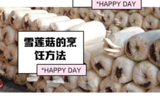 雪莲菌的功效与作用_雪莲菌怎么吃最好