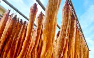 鳗鱼干怎么吃_鳗鱼干怎么泡发