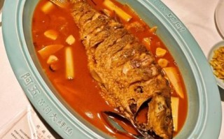 红烧大鲤鱼怎么做_红烧大鲤鱼的家常做法