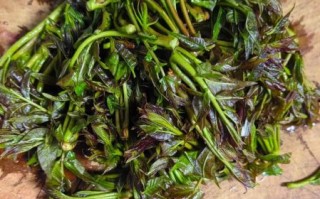 香椿芽炒鸡蛋的功效_孕妇能吃吗