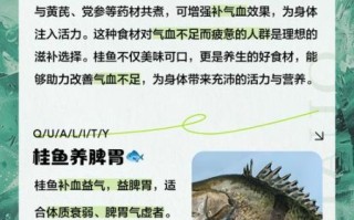 桂鱼的功效与作用_桂鱼的禁忌有哪些