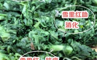 雪里红营养价值_雪里红禁忌有哪些