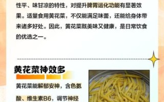 黄花菜有毒吗_怎么吃才安全
