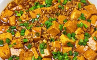 猪肉炖豆腐怎么做好吃_家常猪肉炖豆腐做法