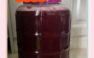 自酿葡萄酒怎么去甲醇_自酿葡萄酒甲醛超标怎么办