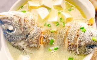鲫鱼汤怎么炖才白_正宗鲫鱼汤做法