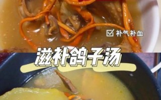 鸽子怎么蒸补血_蒸鸽子汤的做法