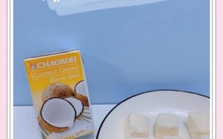 椰浆可以做什么甜品_椰浆甜品做法大全