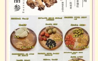 高丽参的功效与作用_适合哪些人吃