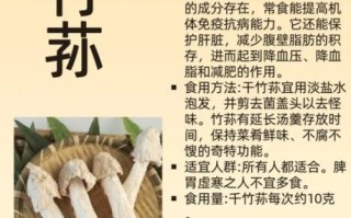 鸡腿蘑菇的营养价值_鸡腿蘑菇的功效与作用