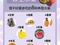 吃什么水果助消化_哪些水果促进肠胃消化