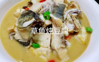 草鱼炖豆腐怎么做_草鱼炖豆腐的家常做法