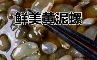 黄泥螺怎么吃图解_黄泥螺怎么清洗
