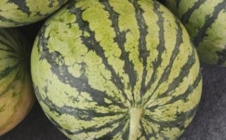 8424西瓜怎么挑选_8424西瓜为什么甜