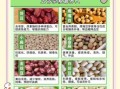 常见豆子种类有哪些_如何挑选优质豆子