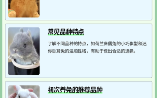 兔子养殖赚钱吗_兔子养殖技术要点