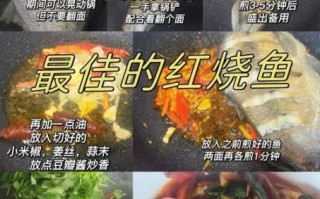 红烧鱼怎么做_红烧鱼最正宗的做法