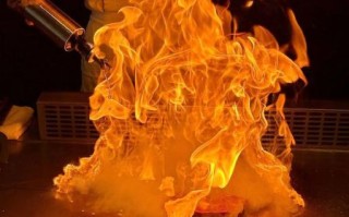 铁板烧电影免费观看_哪里能看高清完整版