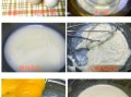 不用牛奶的蛋糕怎么做_无奶蛋糕配方大全