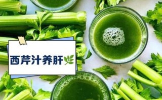 喝芹菜汁能减肥吗_芹菜汁减肥20斤真实经历
