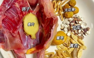 鸽子汤怎么炖最补肾_鸽子汤补肾炖多久
