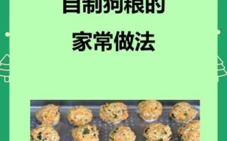 如何自制狗粮_自制狗粮简单方法