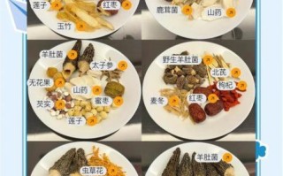 广东药材汤料配方大全_适合什么体质