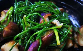 山韭菜花怎么吃_山韭菜花有哪些功效